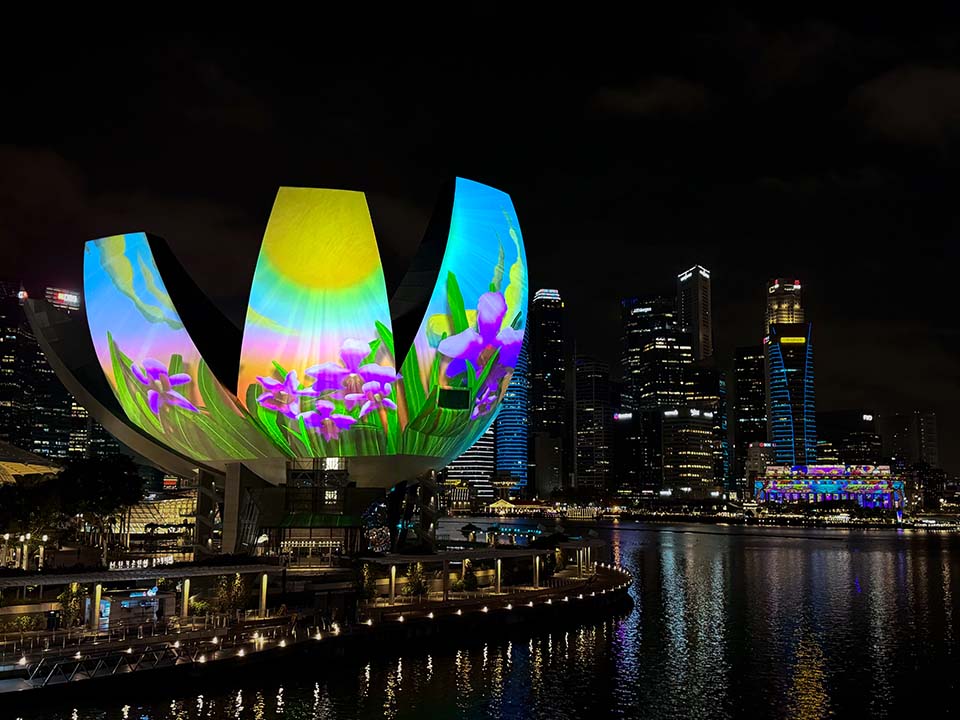 Marina Bay Singapore Countdown 2024 - hexogonsolution