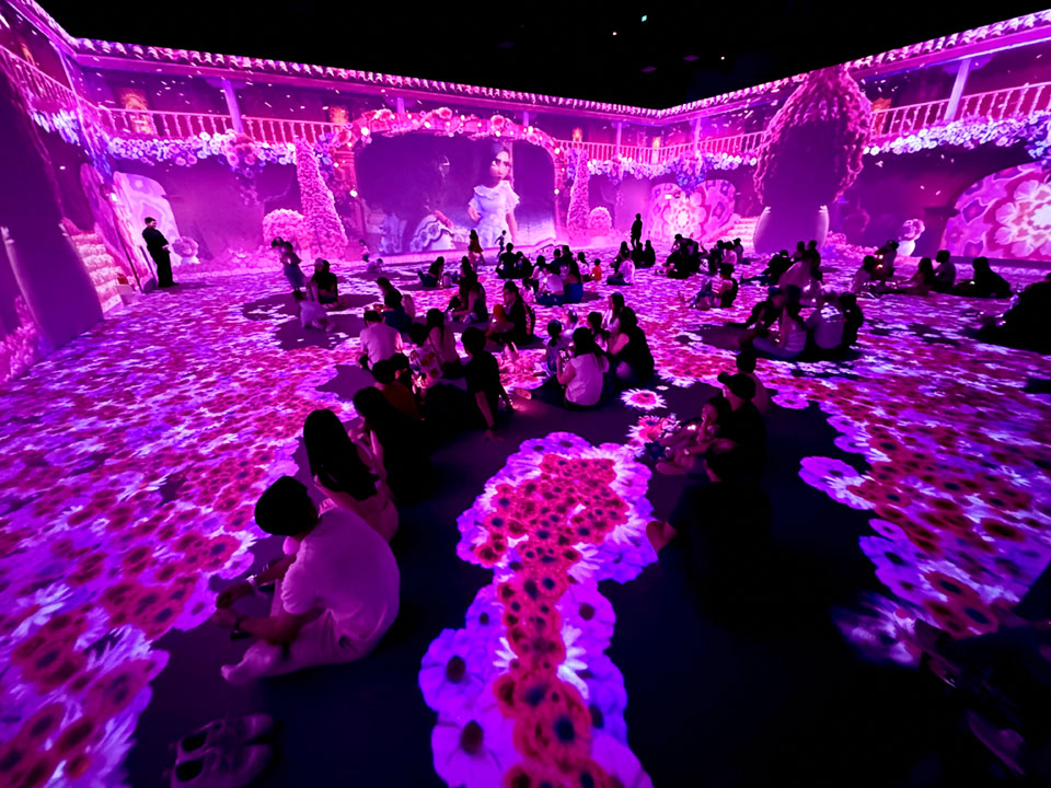 Immersive Disney Animation by Hexogon Solution