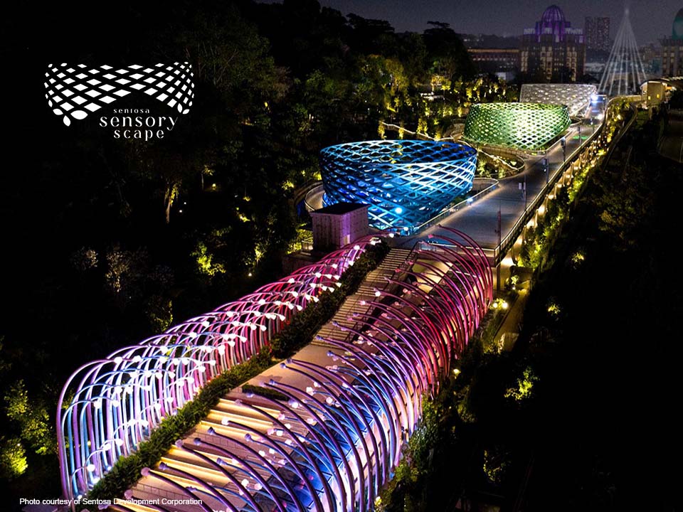 ImagiNite at SensoryScape - hexogonsolution